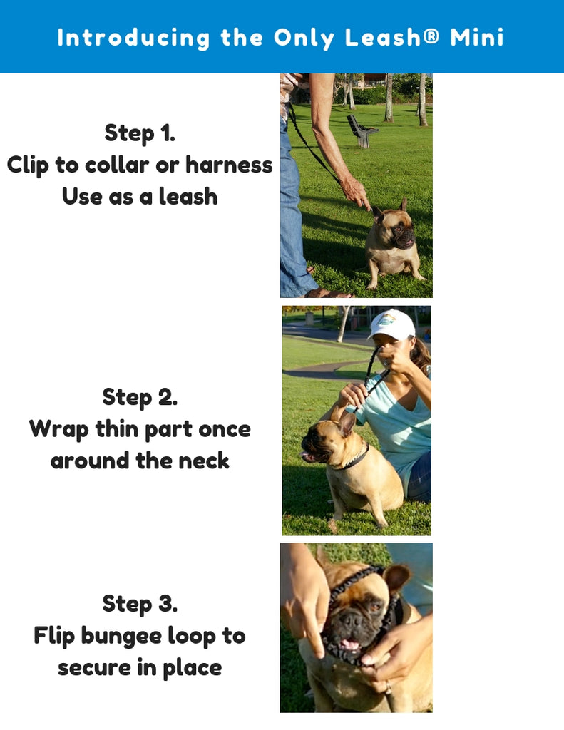 Only Leash MINI (small dogs) - Only Leash
