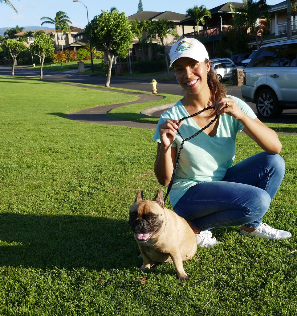 Only Leash MINI (small dogs) - Only Leash