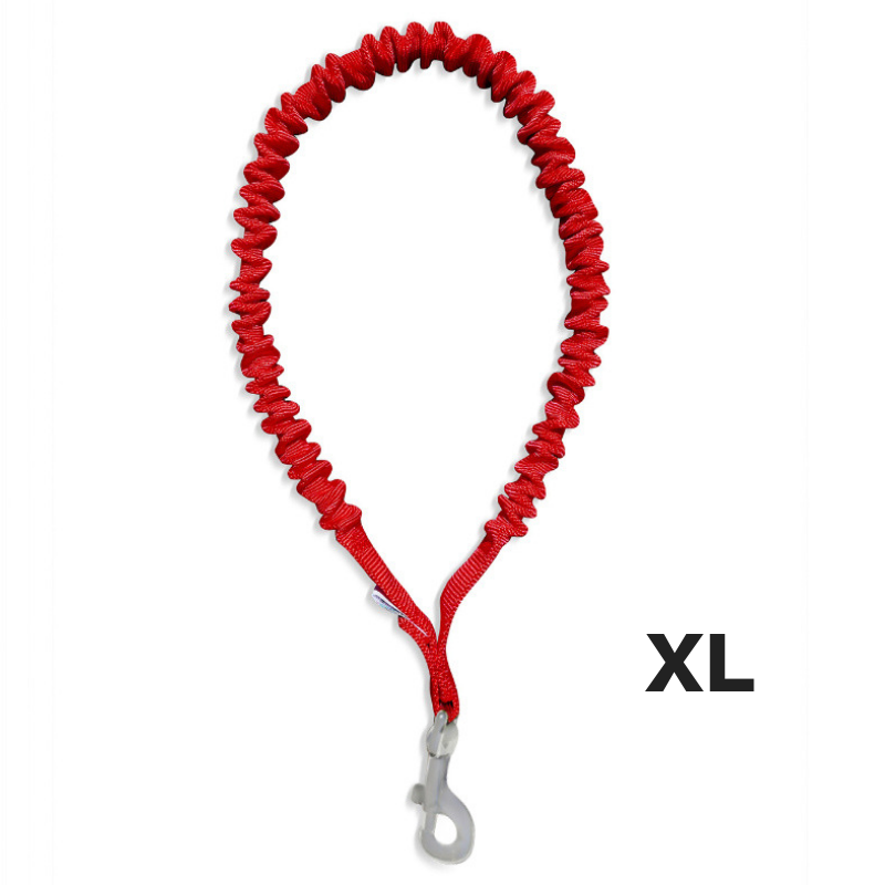 Only Leash - Red - Only Leash