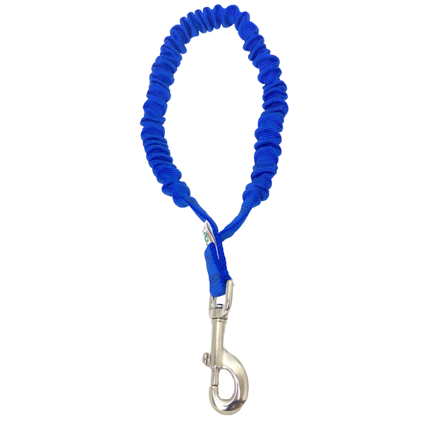 blue_600x600.png?v=1595804070