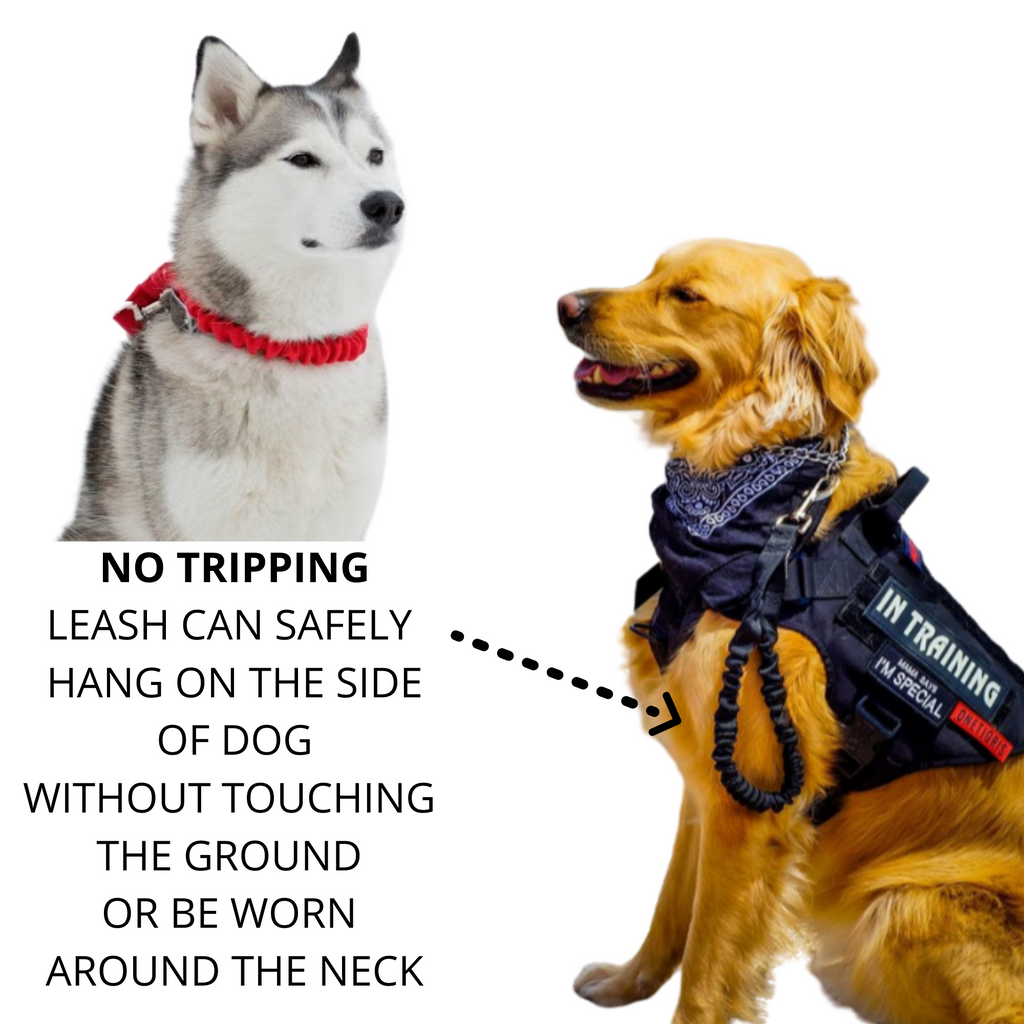 Only Leash - Red